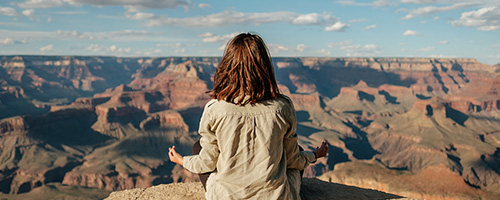 VIA Courses for Personal & Professional Strengths | VIA Institute